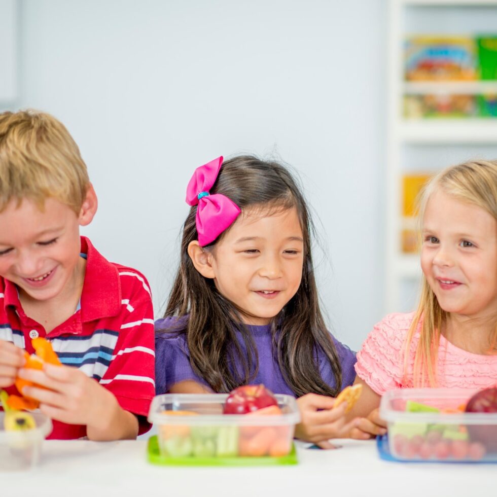 The DaVinci Experience Childcare Meal Plan